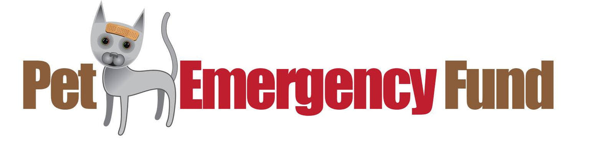 Pet Emergency Fund-raiser - Sat June 17, 2017 – Cats Like Us