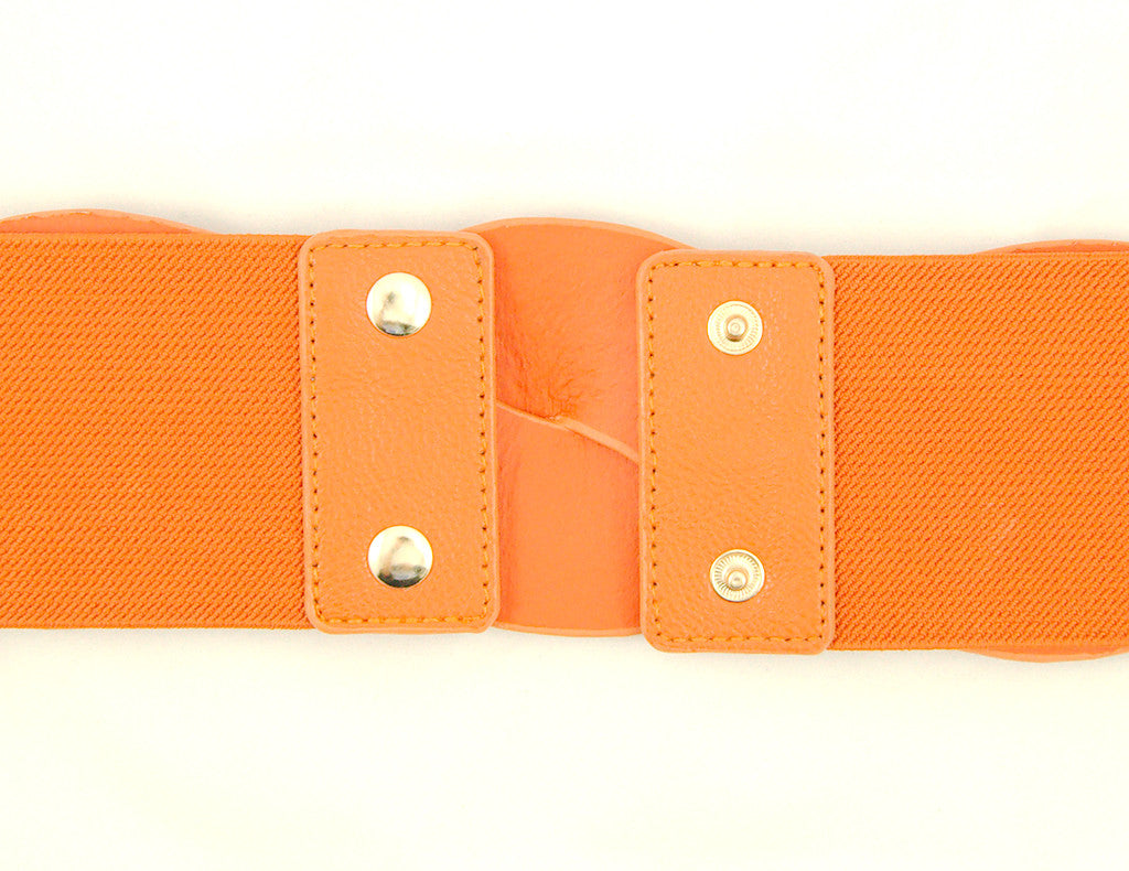 Pumpkin Swirl Cinch Belt – Cats Like Us